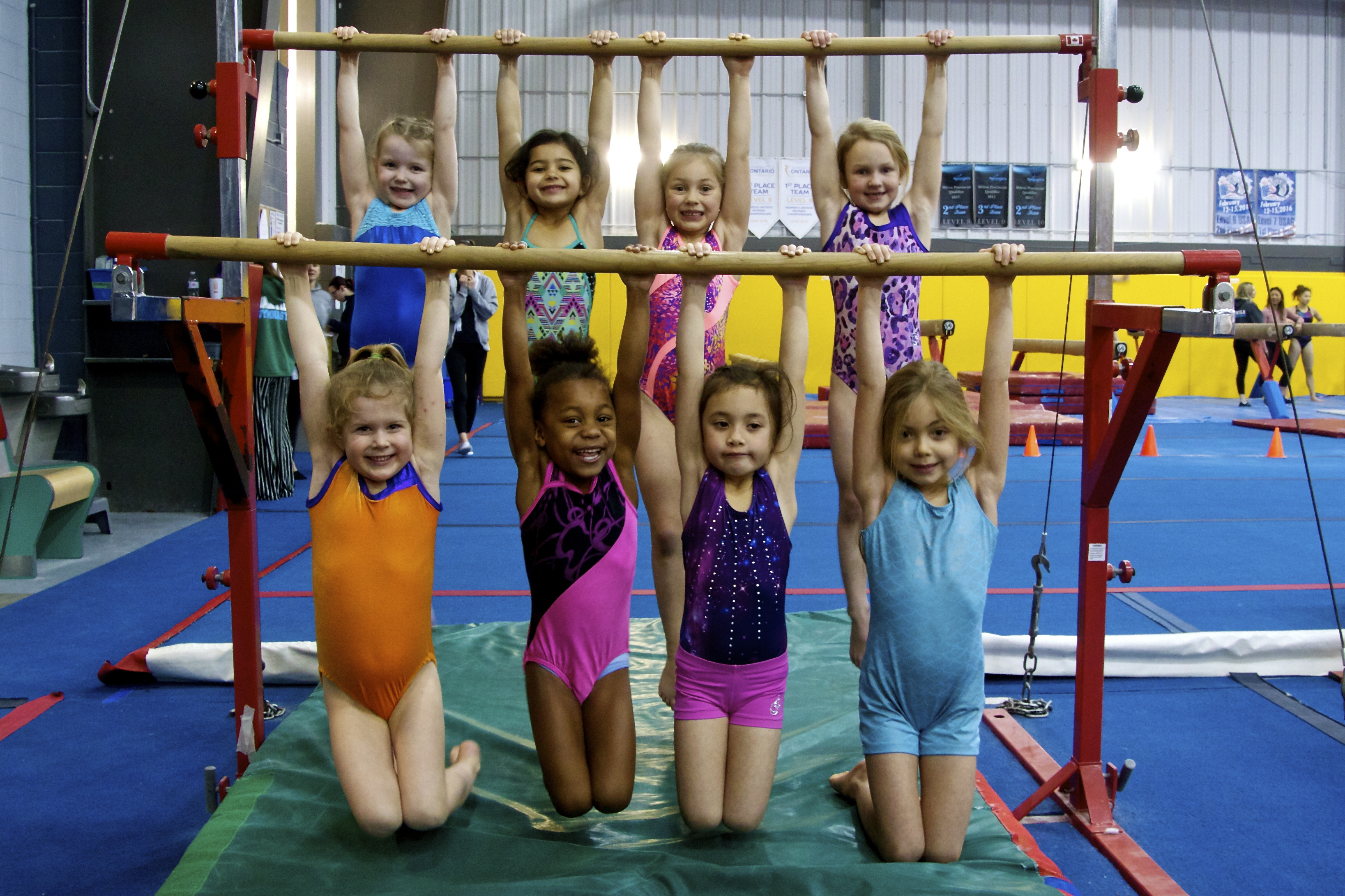 Mini Teams 1 and 2 - Oakville Gymnastics Club